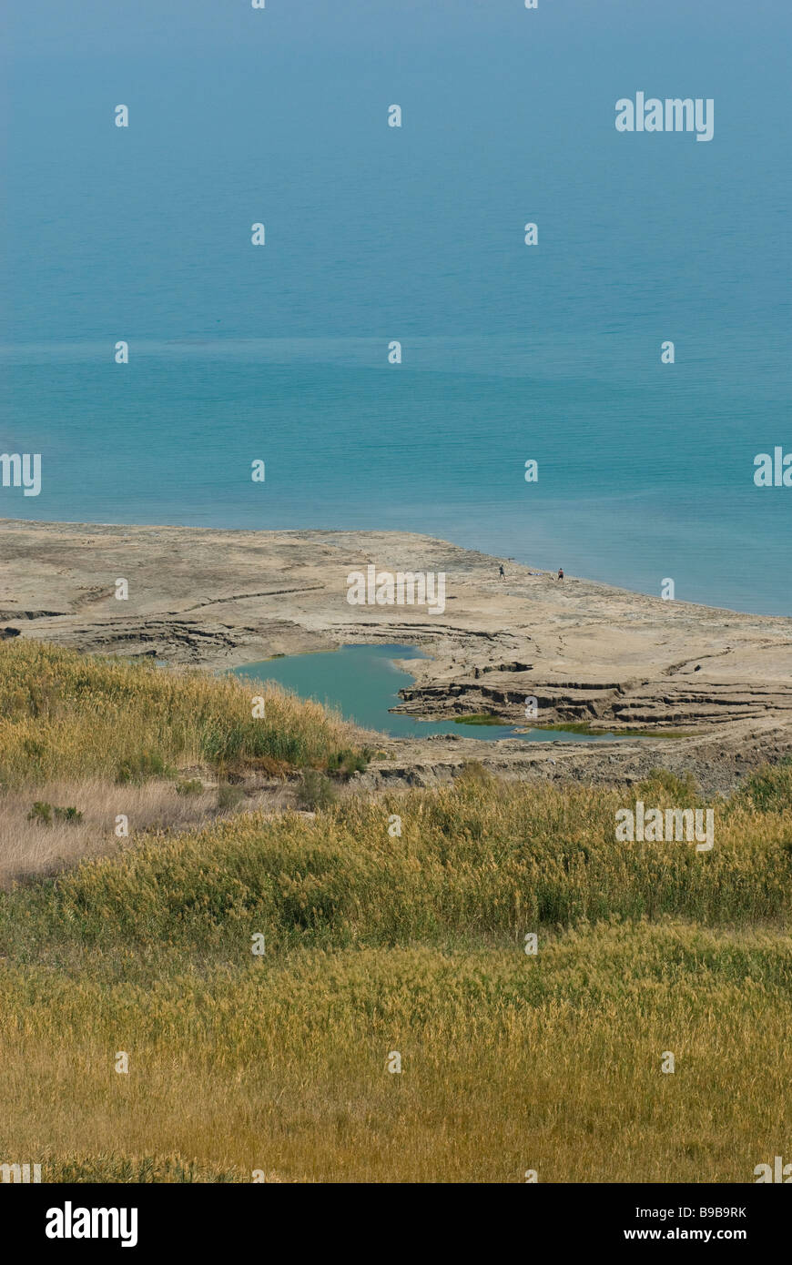 Sinkholes formed by dissolution of underground salt at the coast of the ...