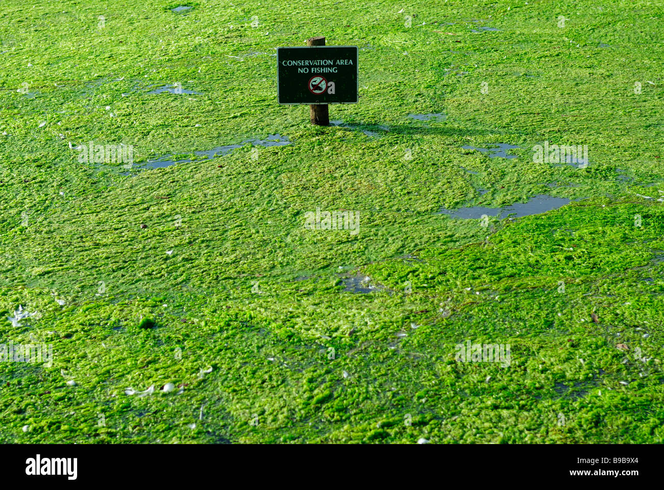 Conservation Area No Fishing Sign Stock Photo - Alamy