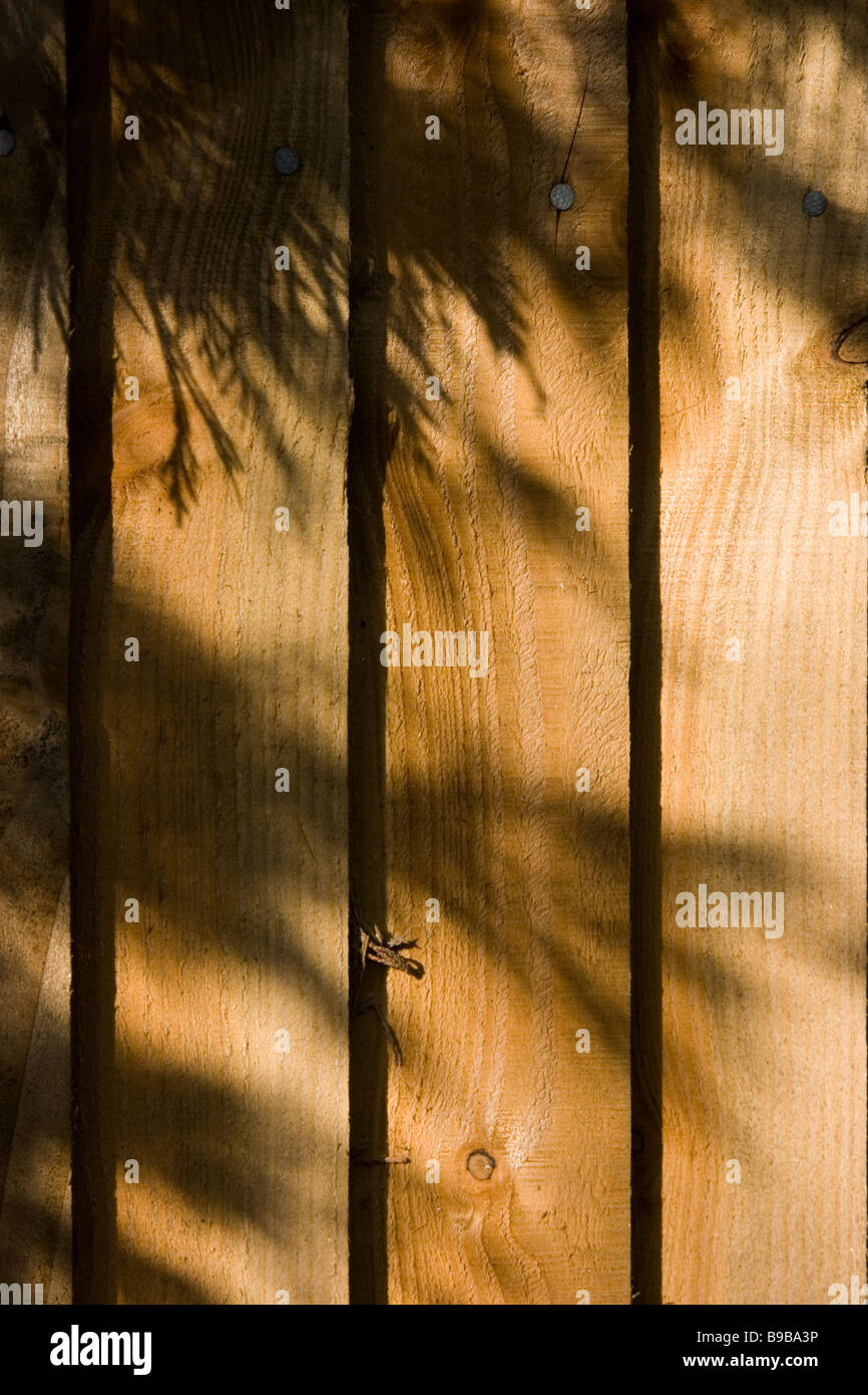 Wooden fence in sunlight hi-res stock photography and images - Alamy