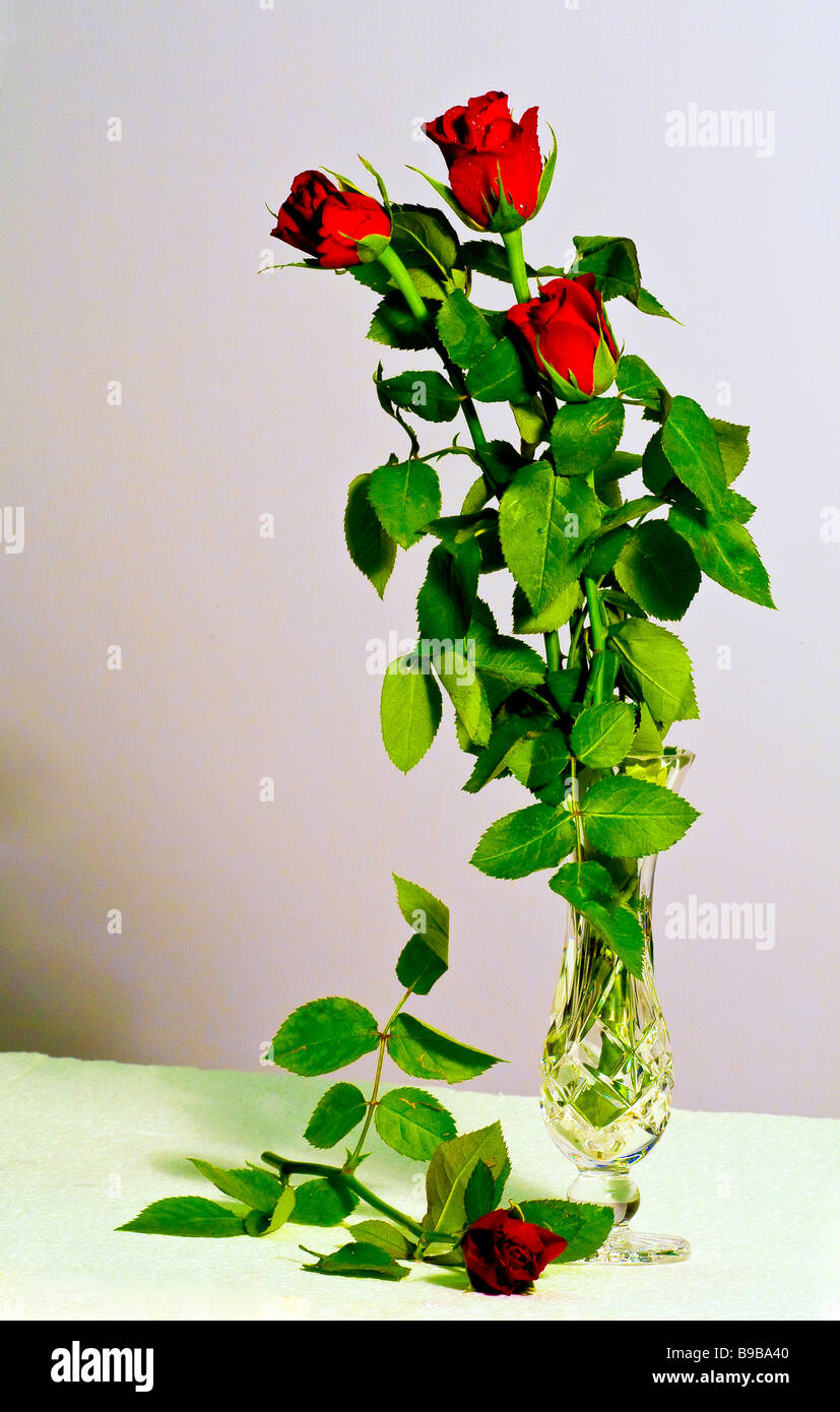 Vase three hi-res stock photography and images - Alamy