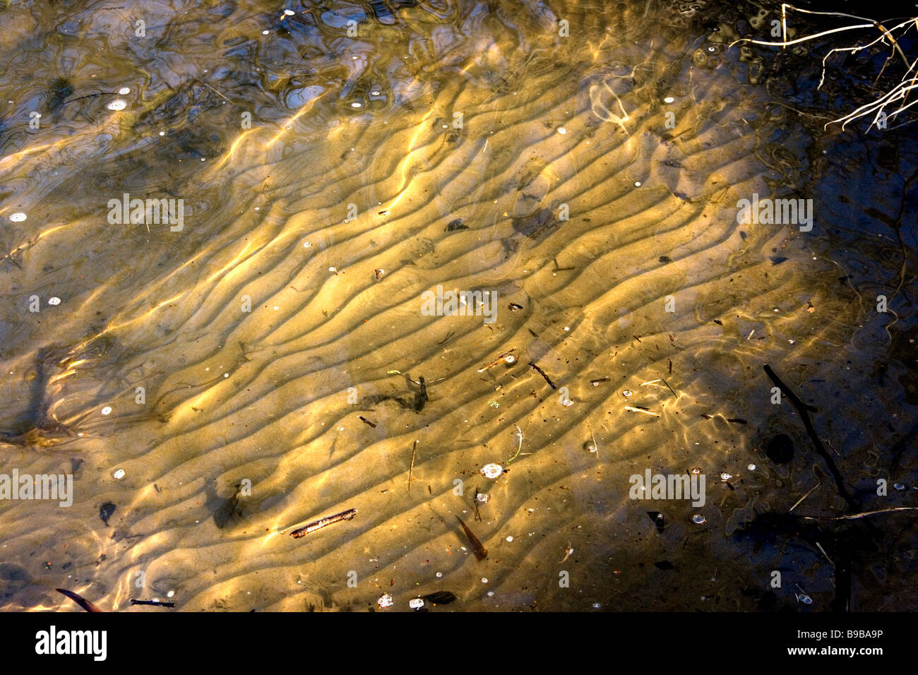 Ridged sandy bottom of stream Stock Photo - Alamy