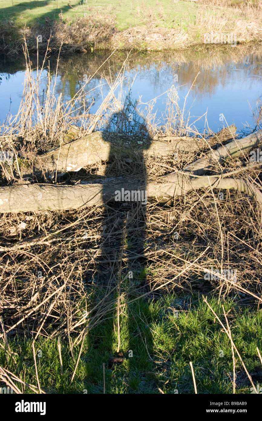 Bank of stream with hi-res stock photography and images - Alamy