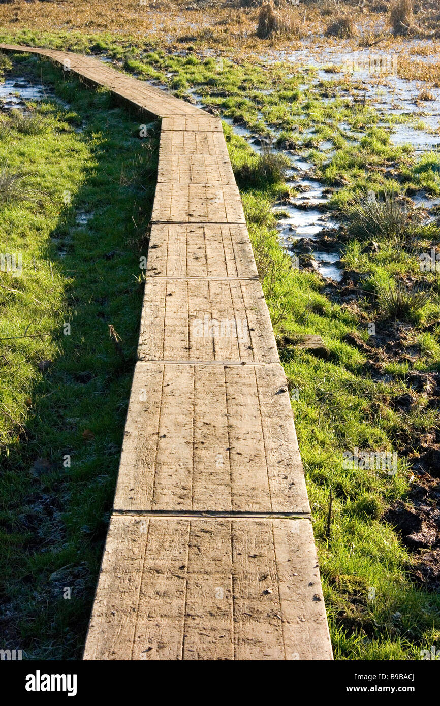 Wooden walkway over marshy ground near Shalford, Surrey Stock Photo - Alamy