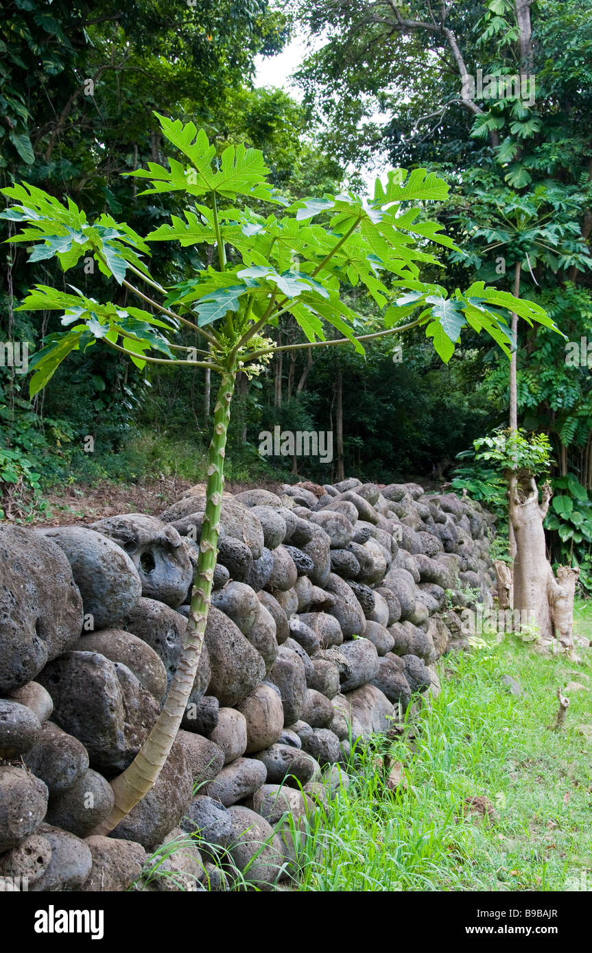 Halawa valley road hi-res stock photography and images - Alamy