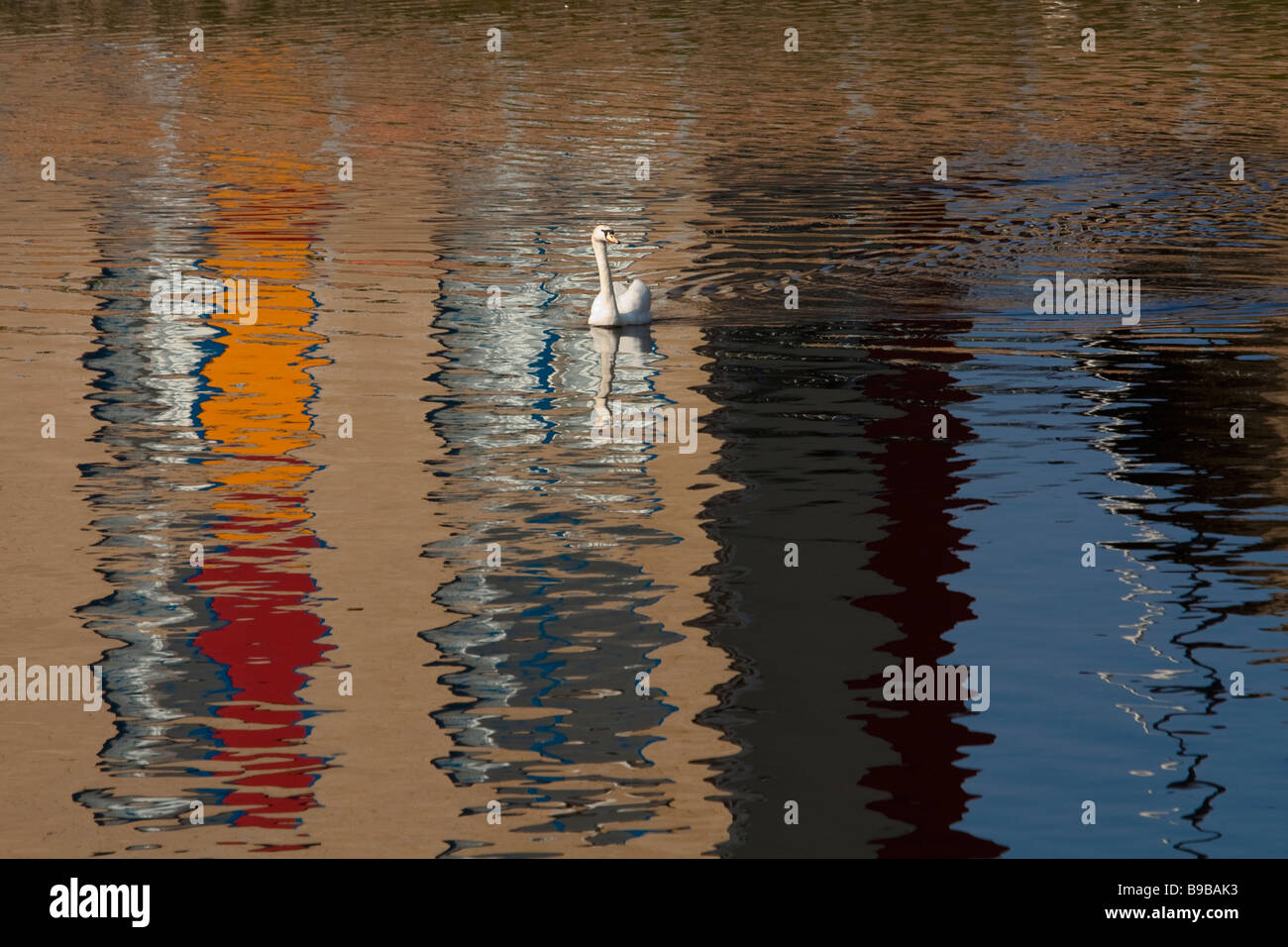 Nature reflections on river hi-res stock photography and images - Alamy