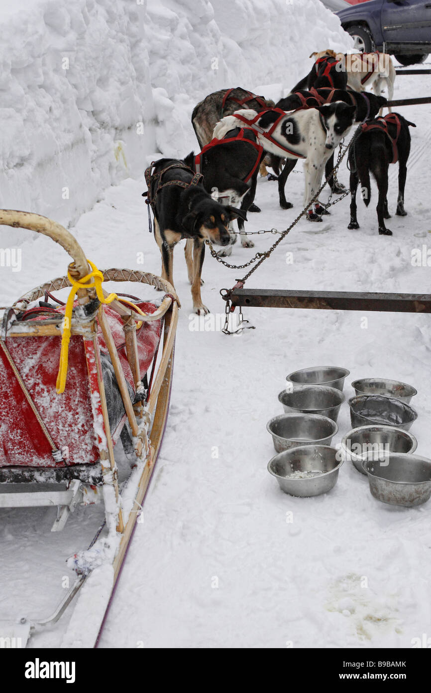 Sled hi res hi-res stock photography and images - Alamy