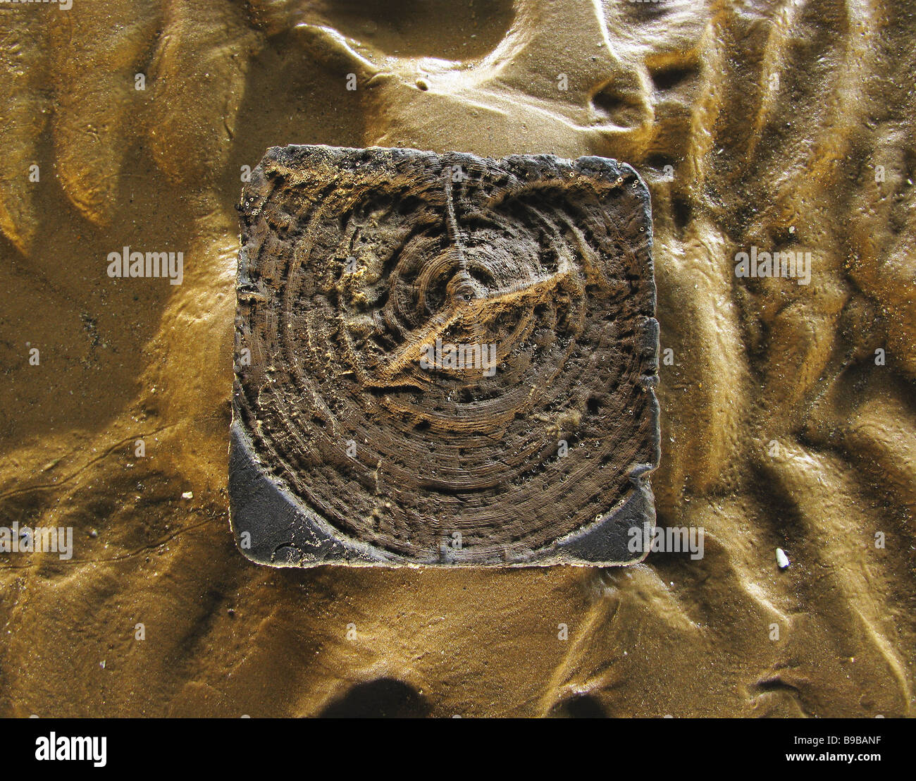 Abstract beach scene,wooden breaker Stock Photo - Alamy