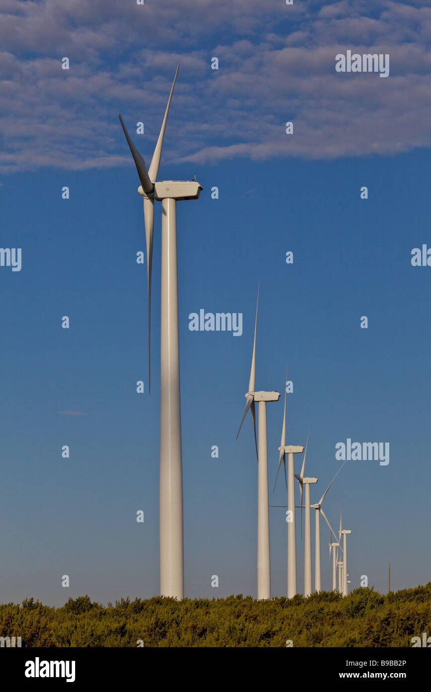 Wind turbines generating electrical power at Horse Hollow Wind Farm ...