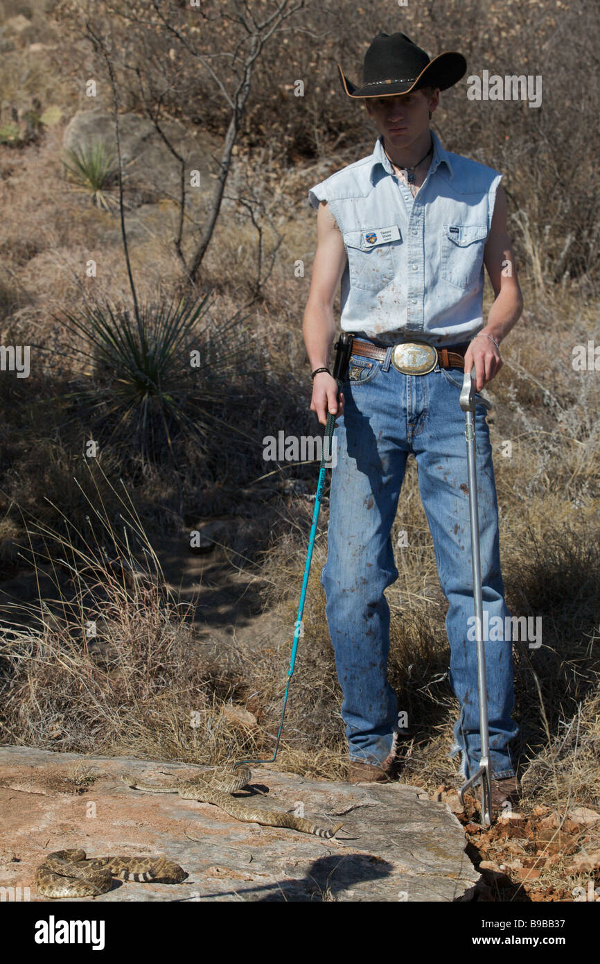 A snake hunters prepares to capture a western diamondback rattlesnake ...