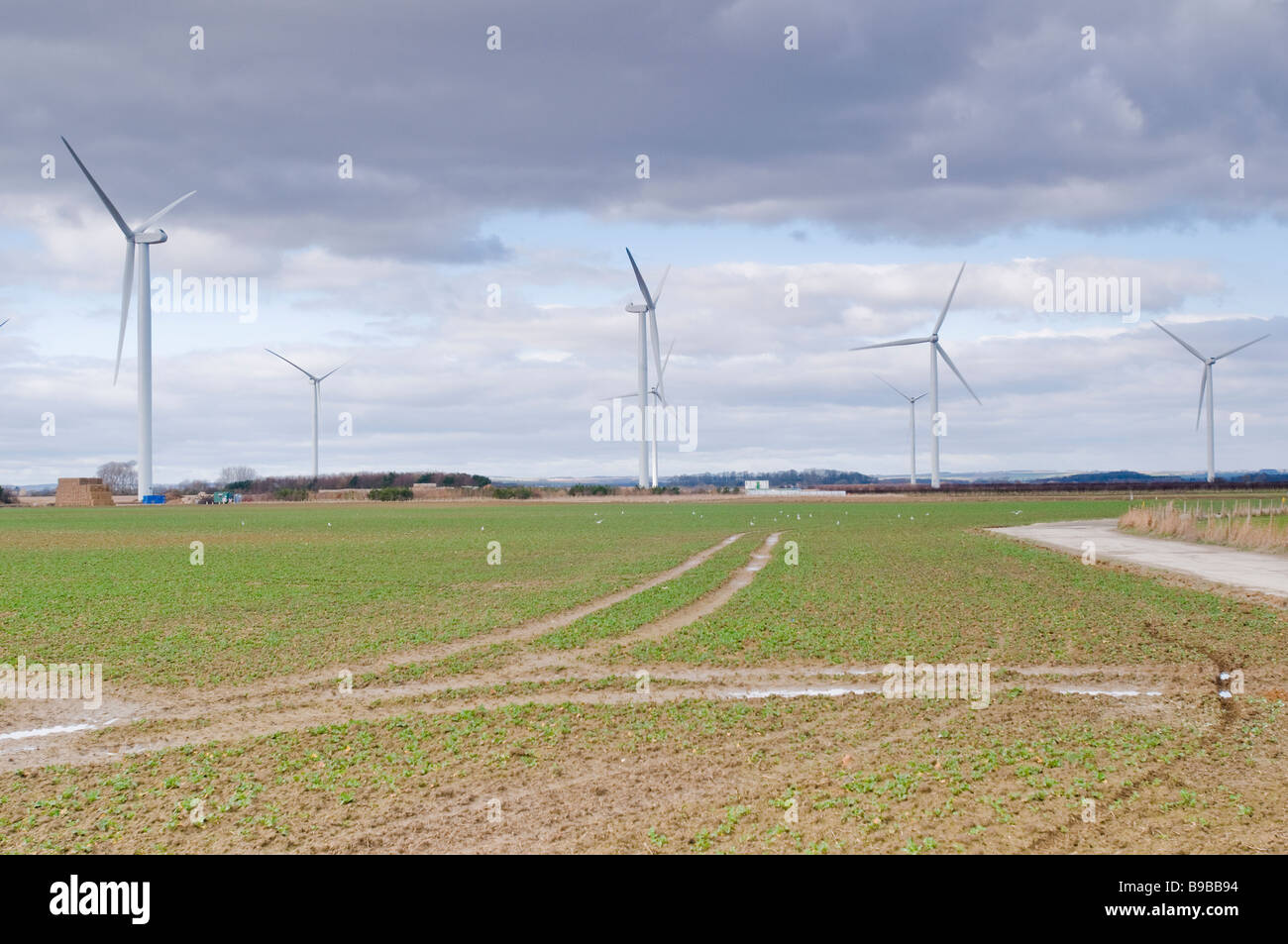 Beeford hi-res stock photography and images - Alamy