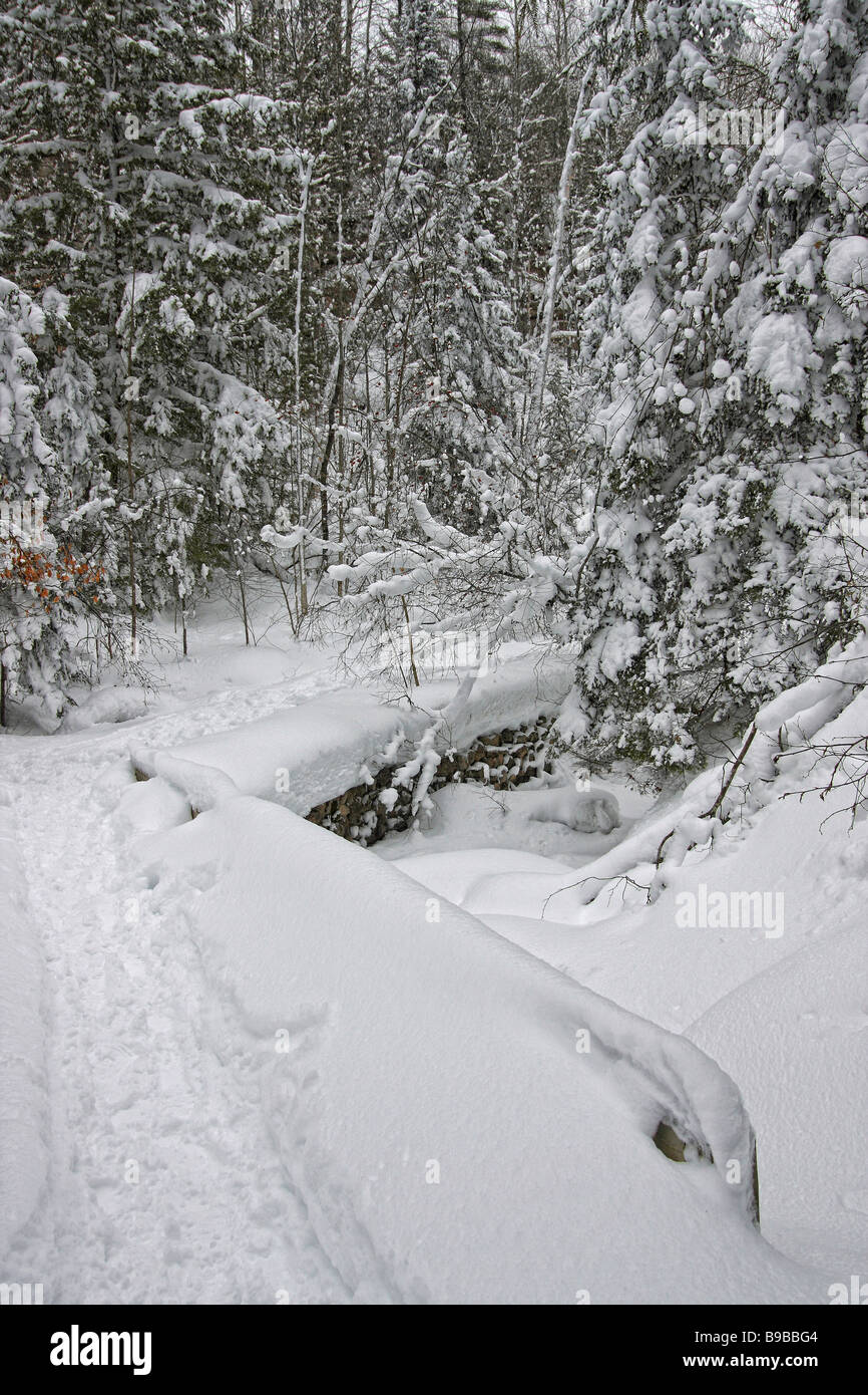 Hiawatha National Forest Upper Peninsula Michigan MI North America ...