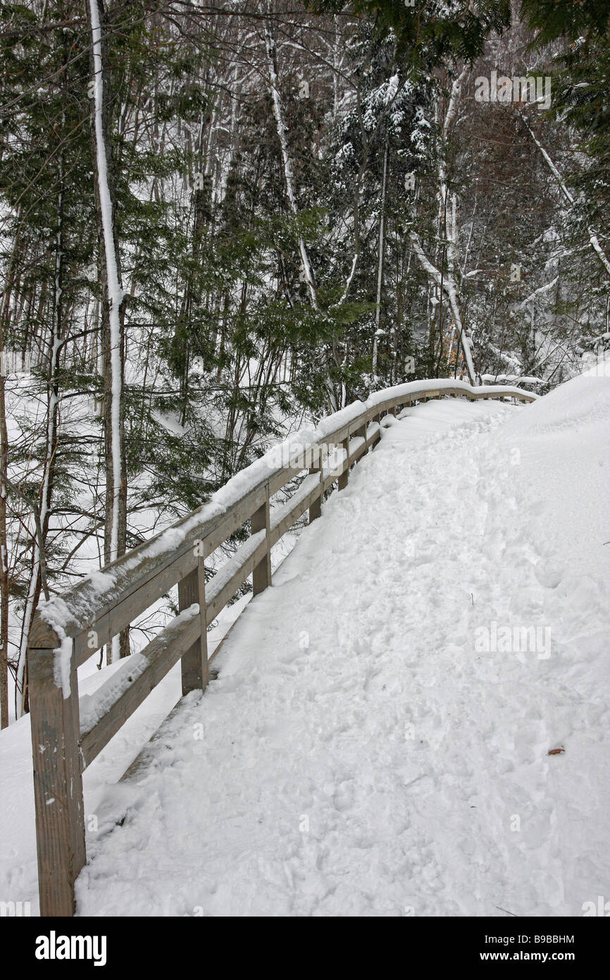Hiawatha National Forest Upper Peninsula Michigan MI North America ...