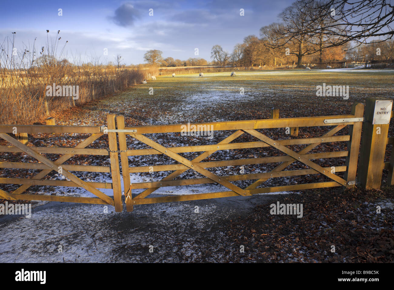 a gated entrance to field Stock Photo - Alamy