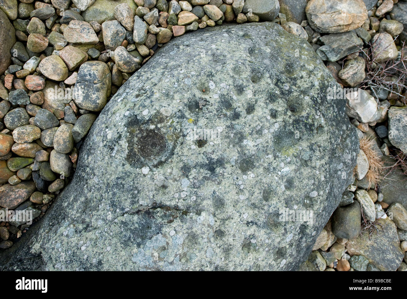 Offering their sacrifice hi-res stock photography and images - Alamy