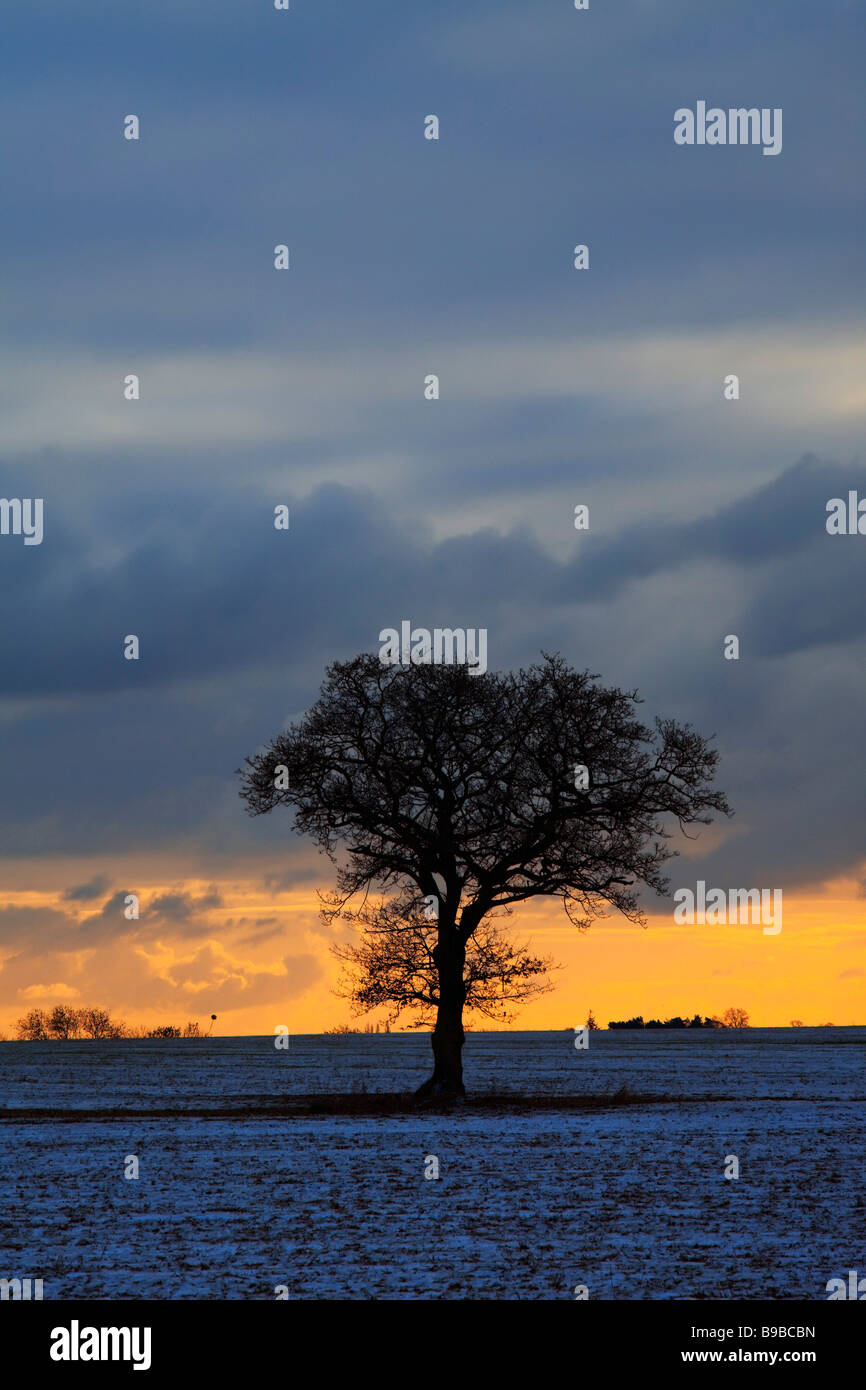 A winter sunset in the countryside Stock Photo - Alamy