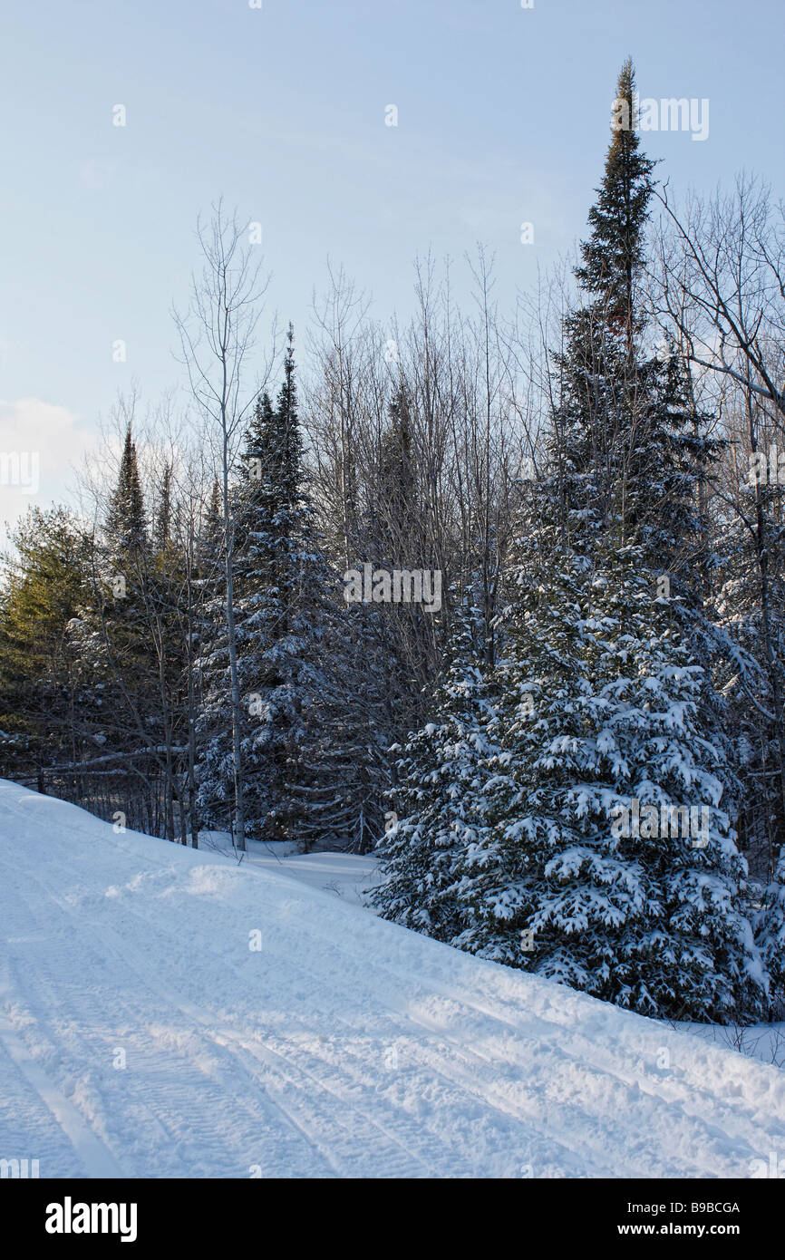 Winter rural landscape at Upper Peninsula Michigan snowy the forest ...