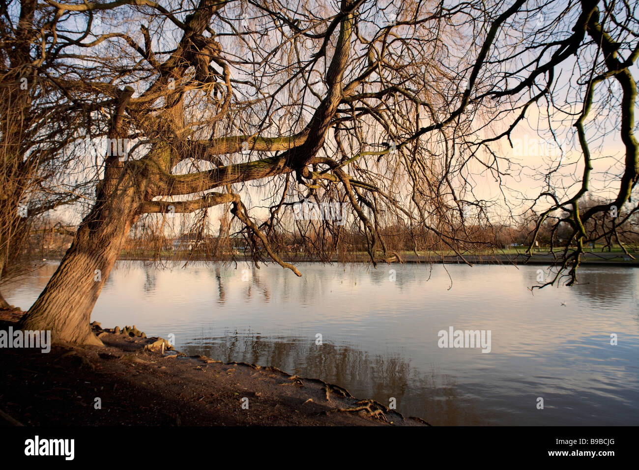 river avon stratford upon avon warwickshire england uk Stock Photo - Alamy
