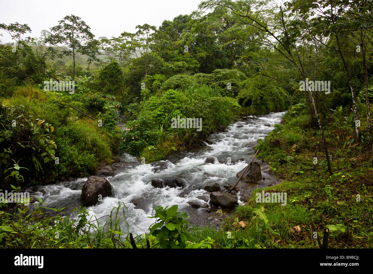 A river running through the rain-forest around Lake Arenal, Costa Rica ...