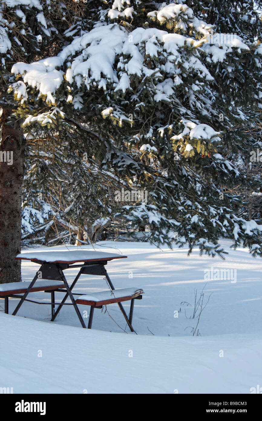 Munising Upper Peninsula Michigan MI beautiful winter landscape with ...