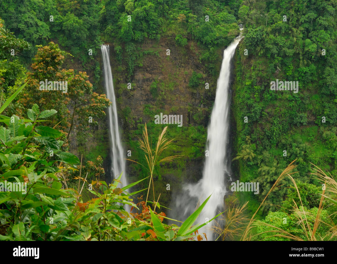 Tad Fan waterfall, Bolaven Plateau, Laos Stock Photo - Alamy