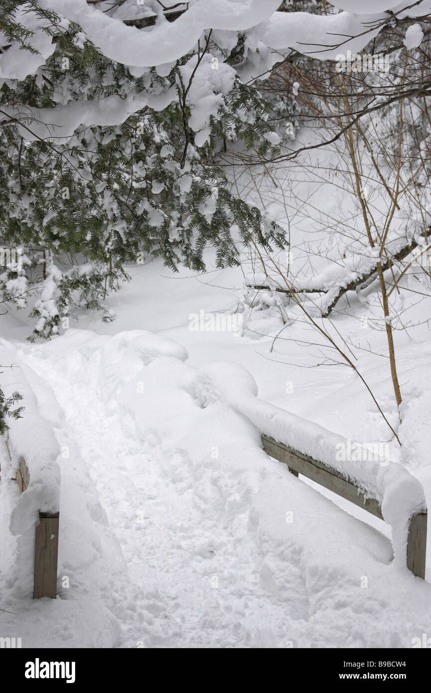 Hiawatha National Forest Upper Peninsula Michigan MI North America ...