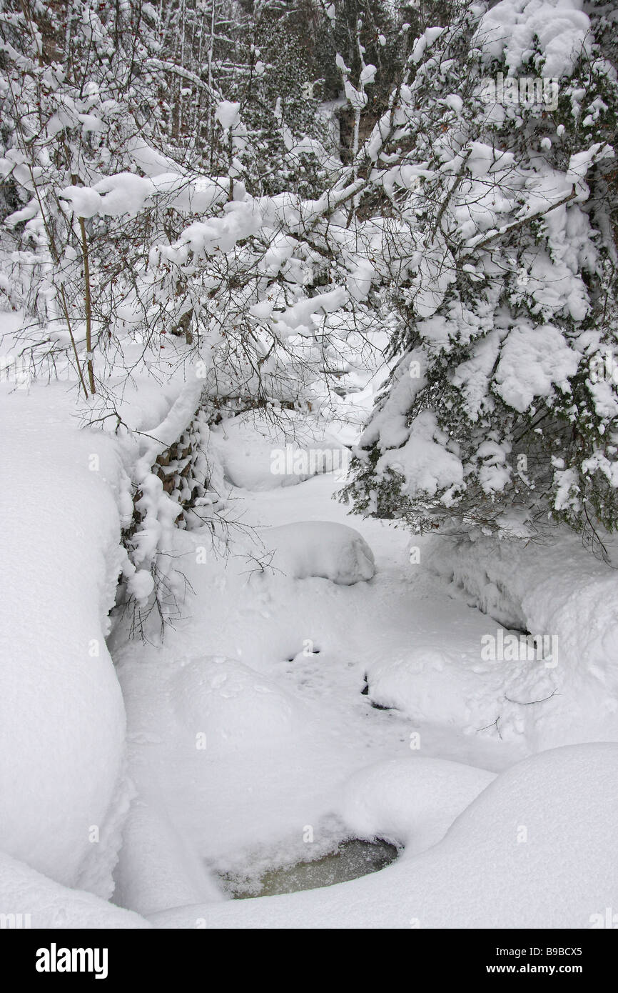 Munising Upper Peninsula Michigan MI beautiful winter landscape with ...
