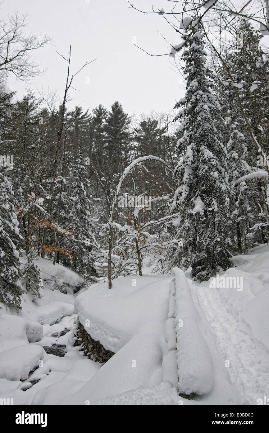 Hiawatha National Forest Upper Peninsula Michigan MI North America ...