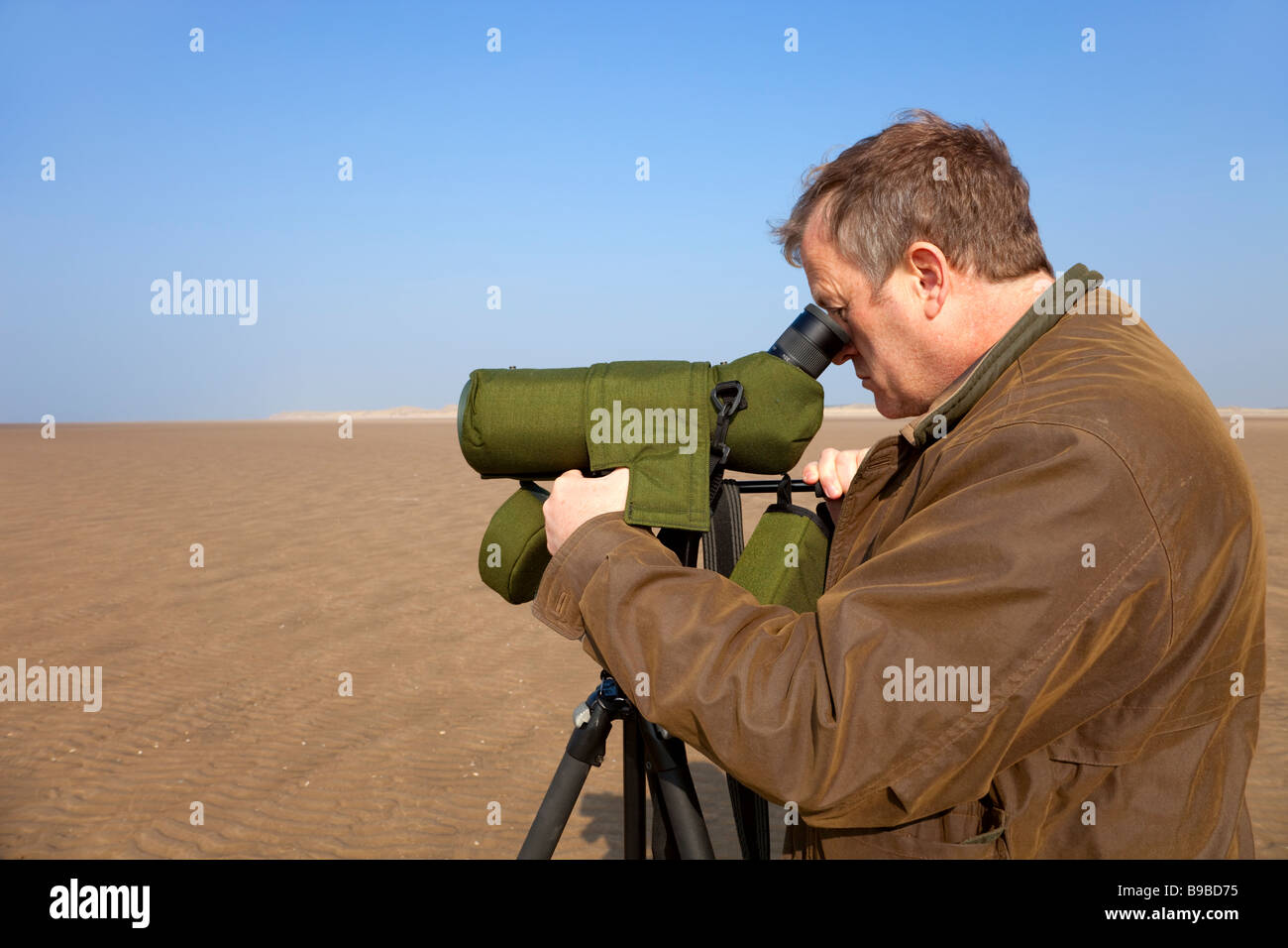 estuary bird monitoring Stock Photo - Alamy
