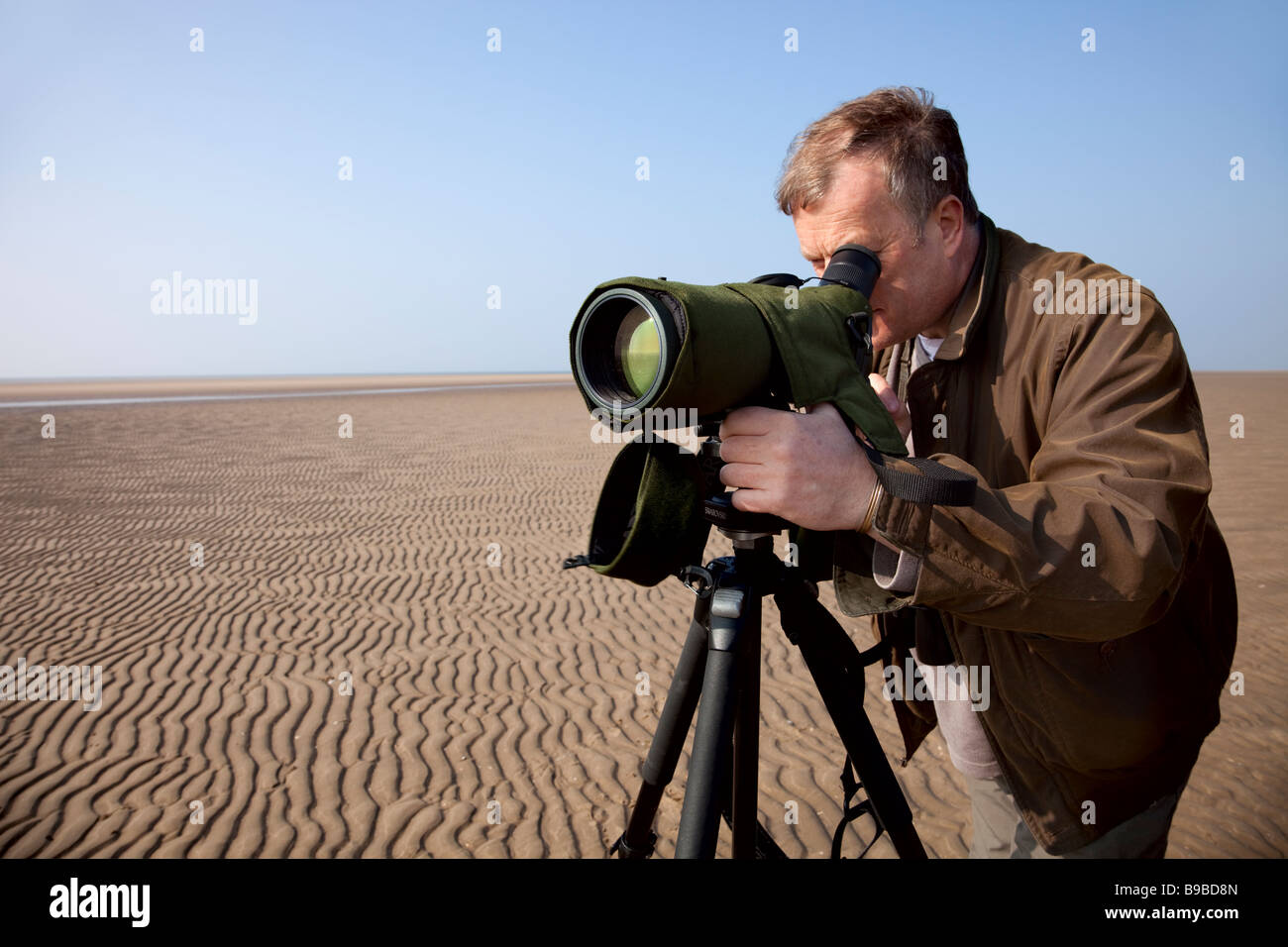estuary bird monitoring Stock Photo - Alamy