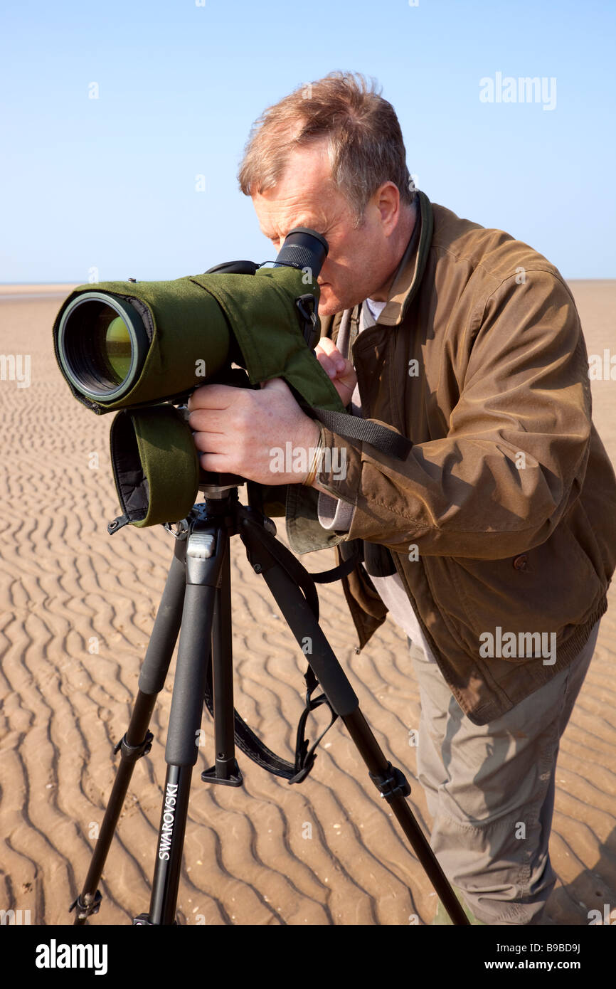 estuary bird monitoring Stock Photo - Alamy