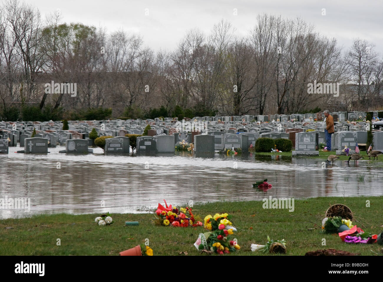 Flooded cemetery hi-res stock photography and images - Alamy