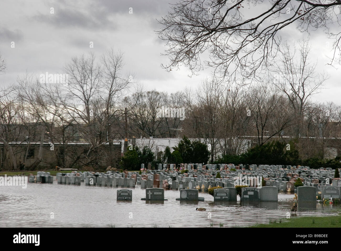 Flooded cemetery hi-res stock photography and images - Alamy