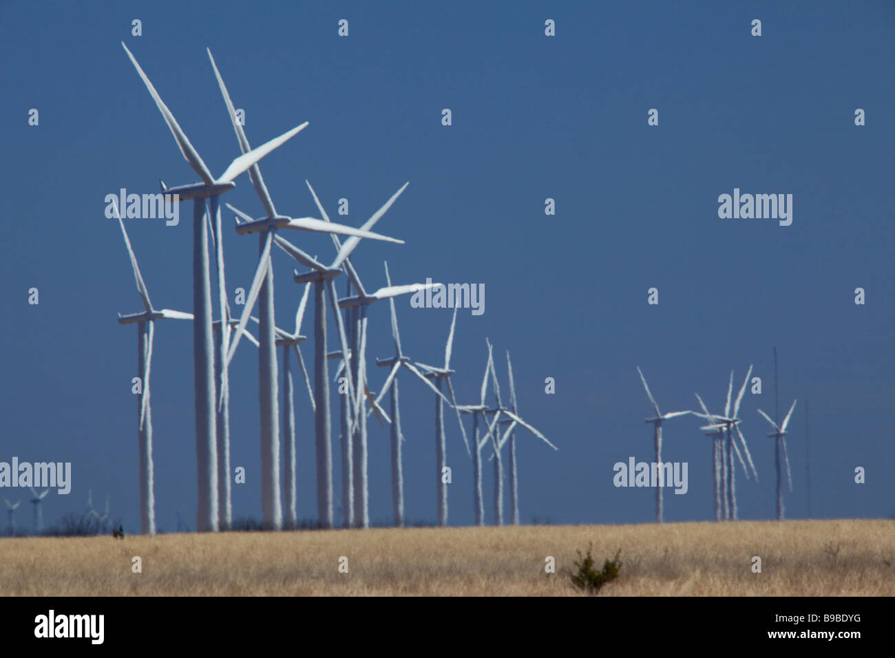 Wind turbines generating electricityat Horse Hollow Wind Farm Nolan ...