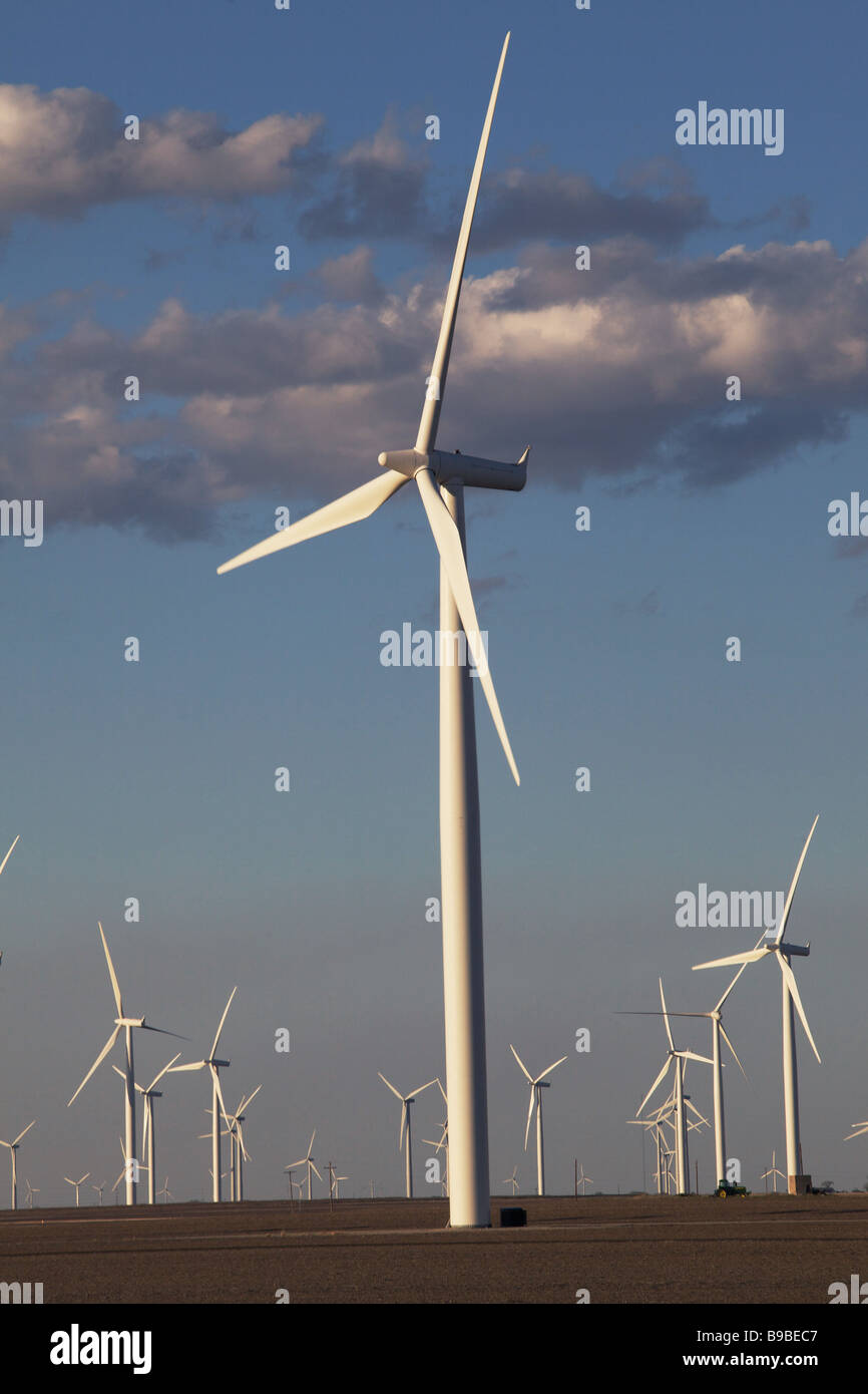 Wind turbines generating electricity at Horse Hollow Wind Farm Nolan ...