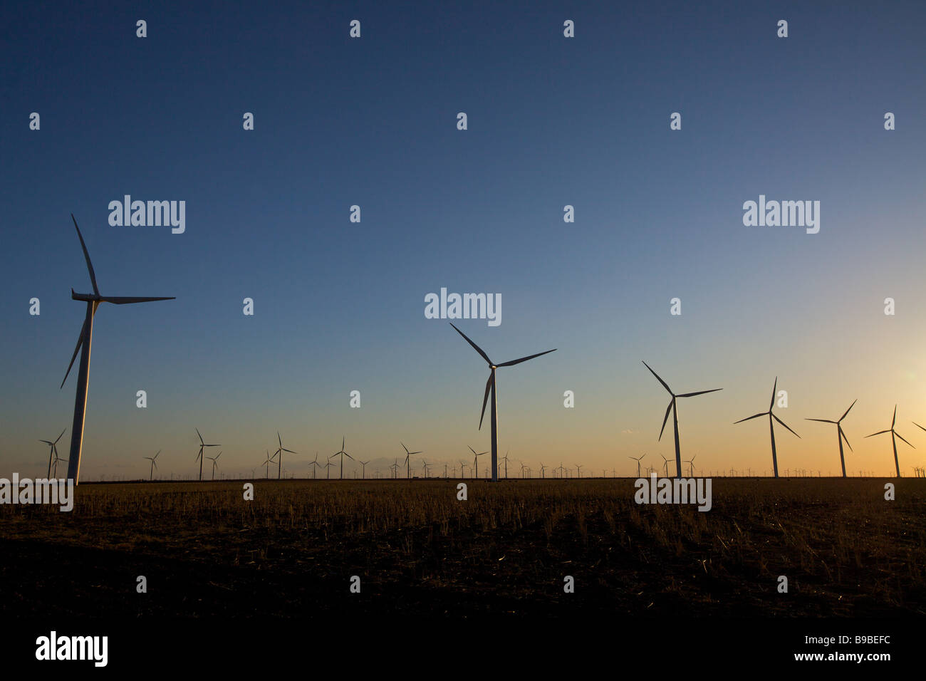 Wind turbines generating electricity at Horse Hollow Wind Farm Nolan ...