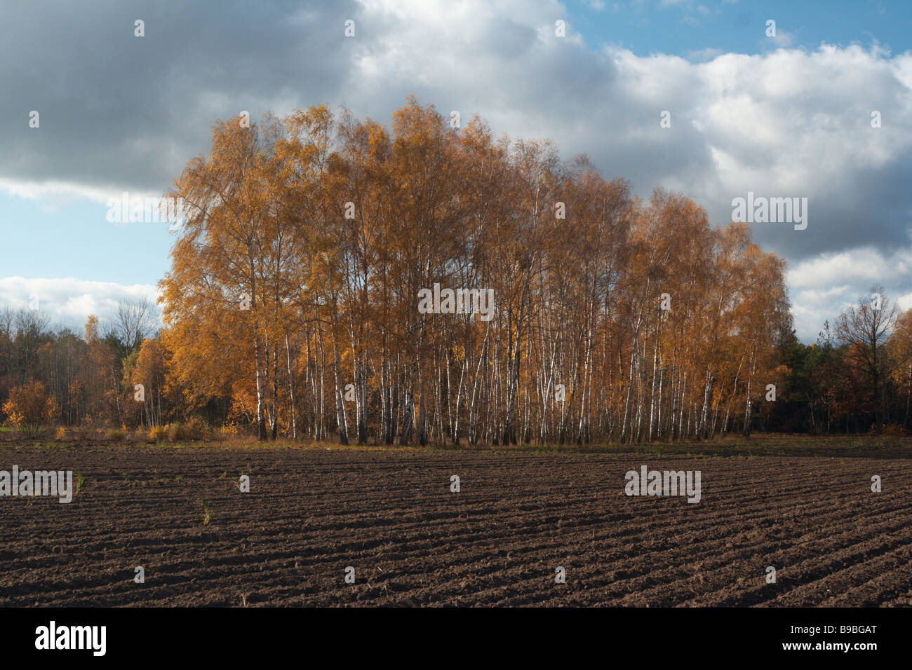 Plowed field, polish farm Poland Stock Photo - Alamy