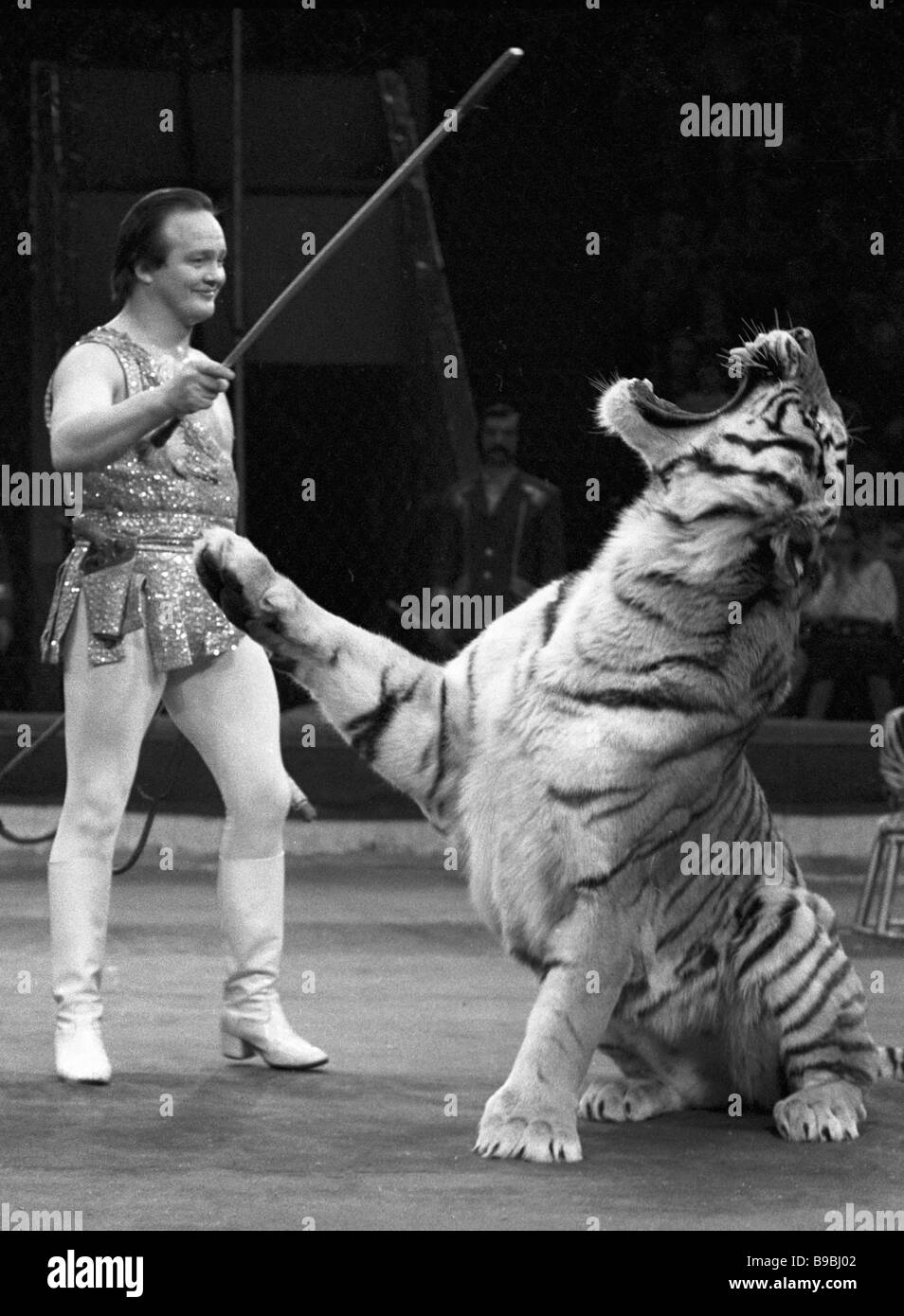 Famous Russian trainer Mstislav Zapashny with tiger in the arena of the ...