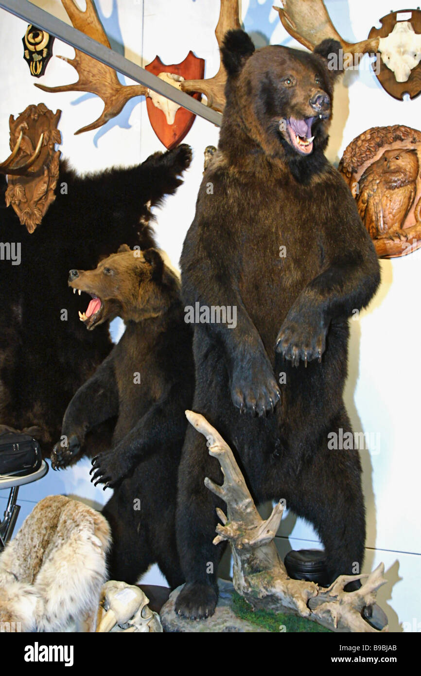 Stuffed bears from Russia s Perm Region on display at the second ...