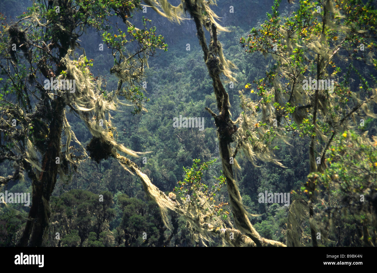 Rwenzori Mountain Range High Resolution Stock Photography and Images ...