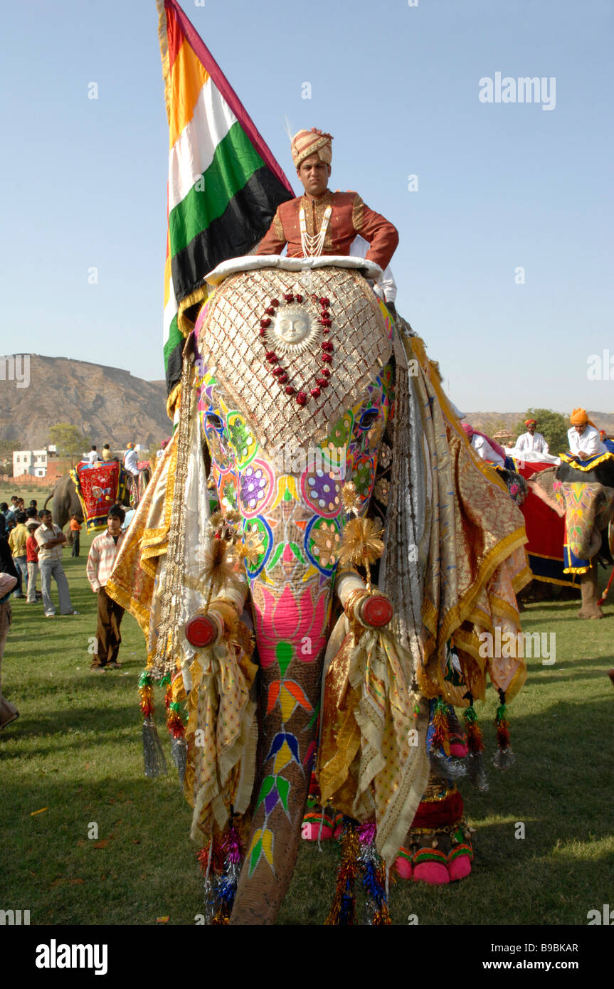 The Elephant Festival of Jaipur, in Rajasthan, India Stock Photo - Alamy