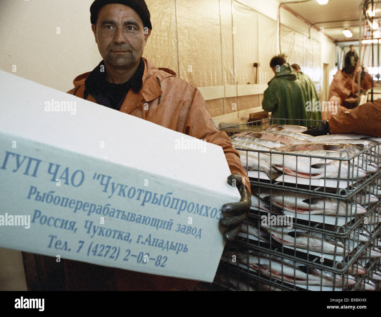 A worker of the fish processing plant going by the shelves with fresh ...