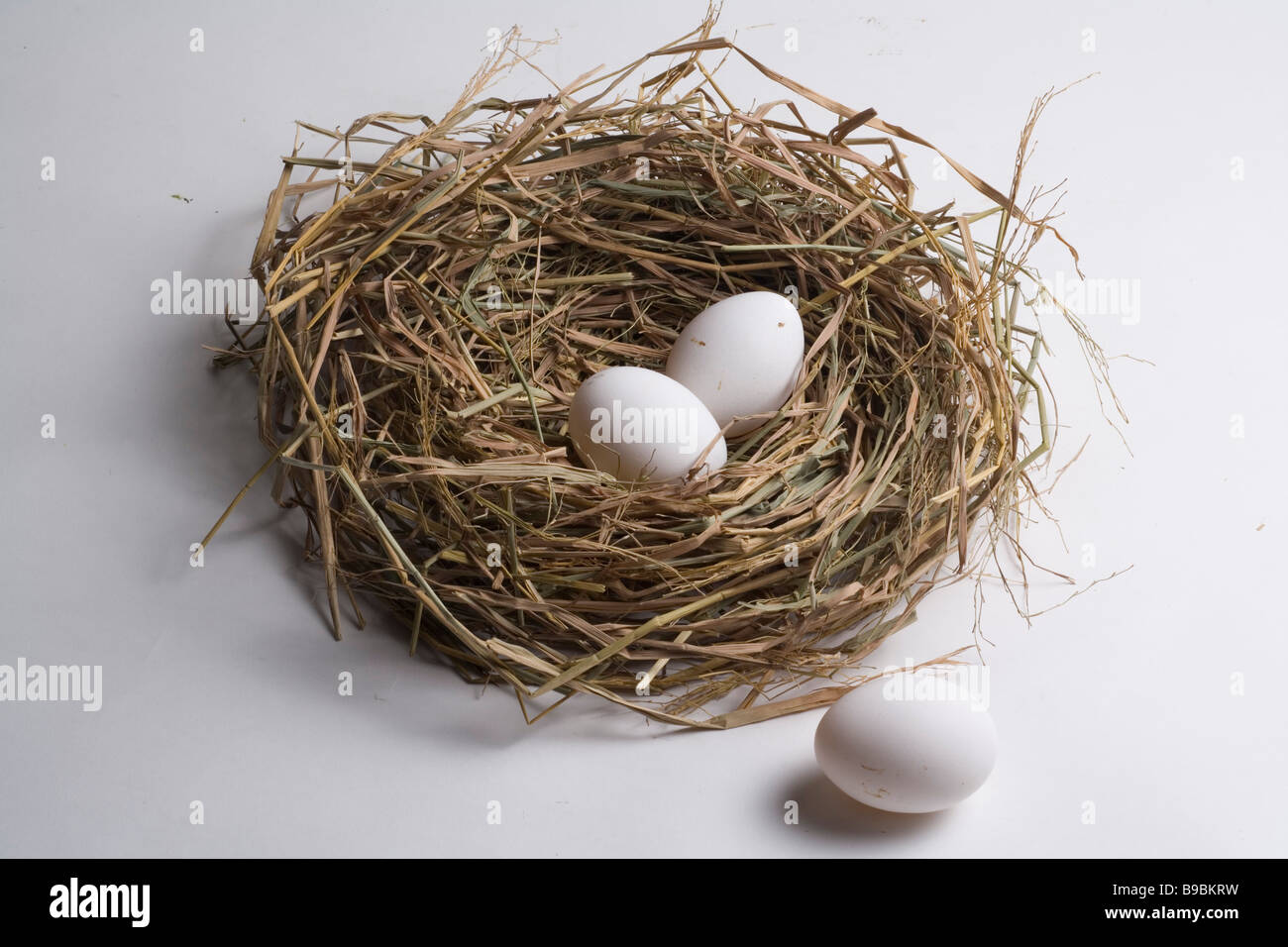 Separate nest hi-res stock photography and images - Alamy