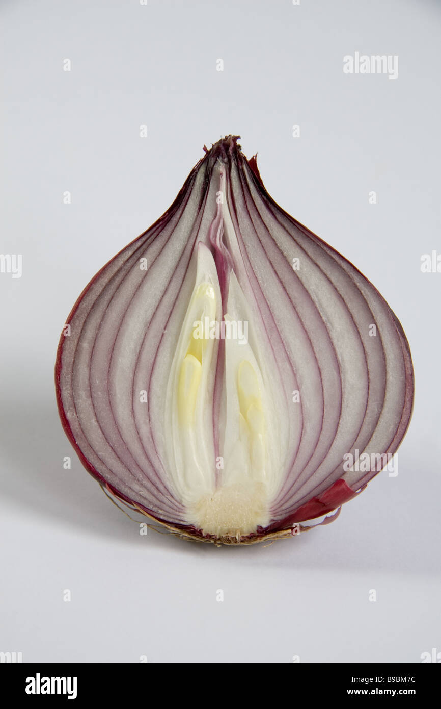 Section single red onion sliced hi-res stock photography and images - Alamy