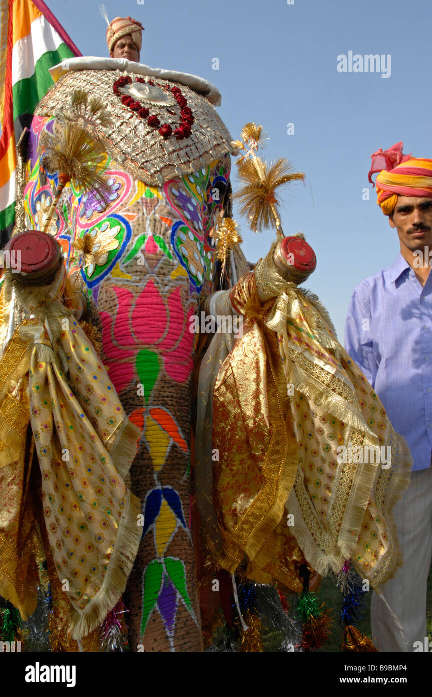 The Elephant Festival of Jaipur, in Rajasthan, India Stock Photo - Alamy