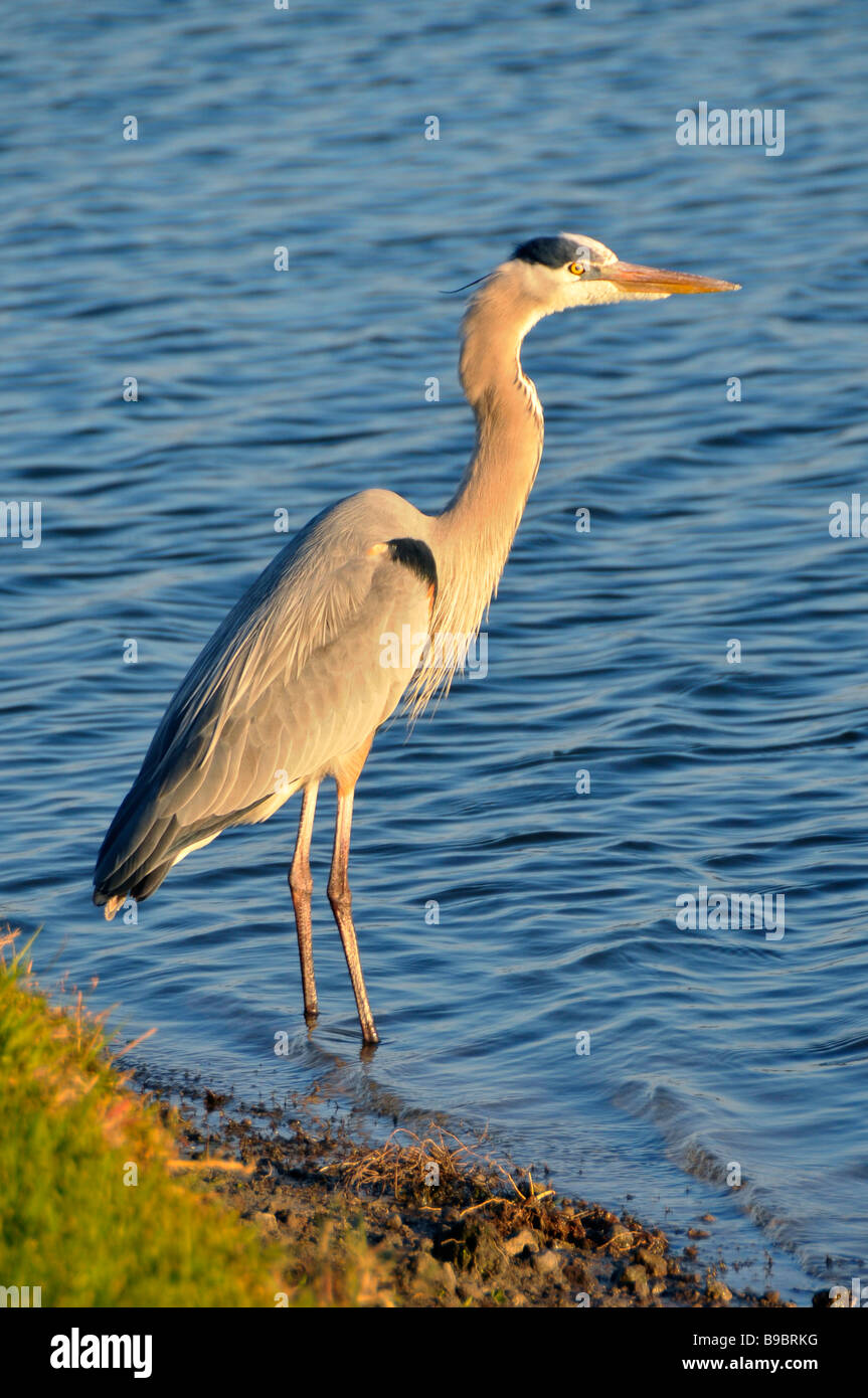 Circle B Bar Reserve Environmental Nature Center Lakeland Florida Polk ...