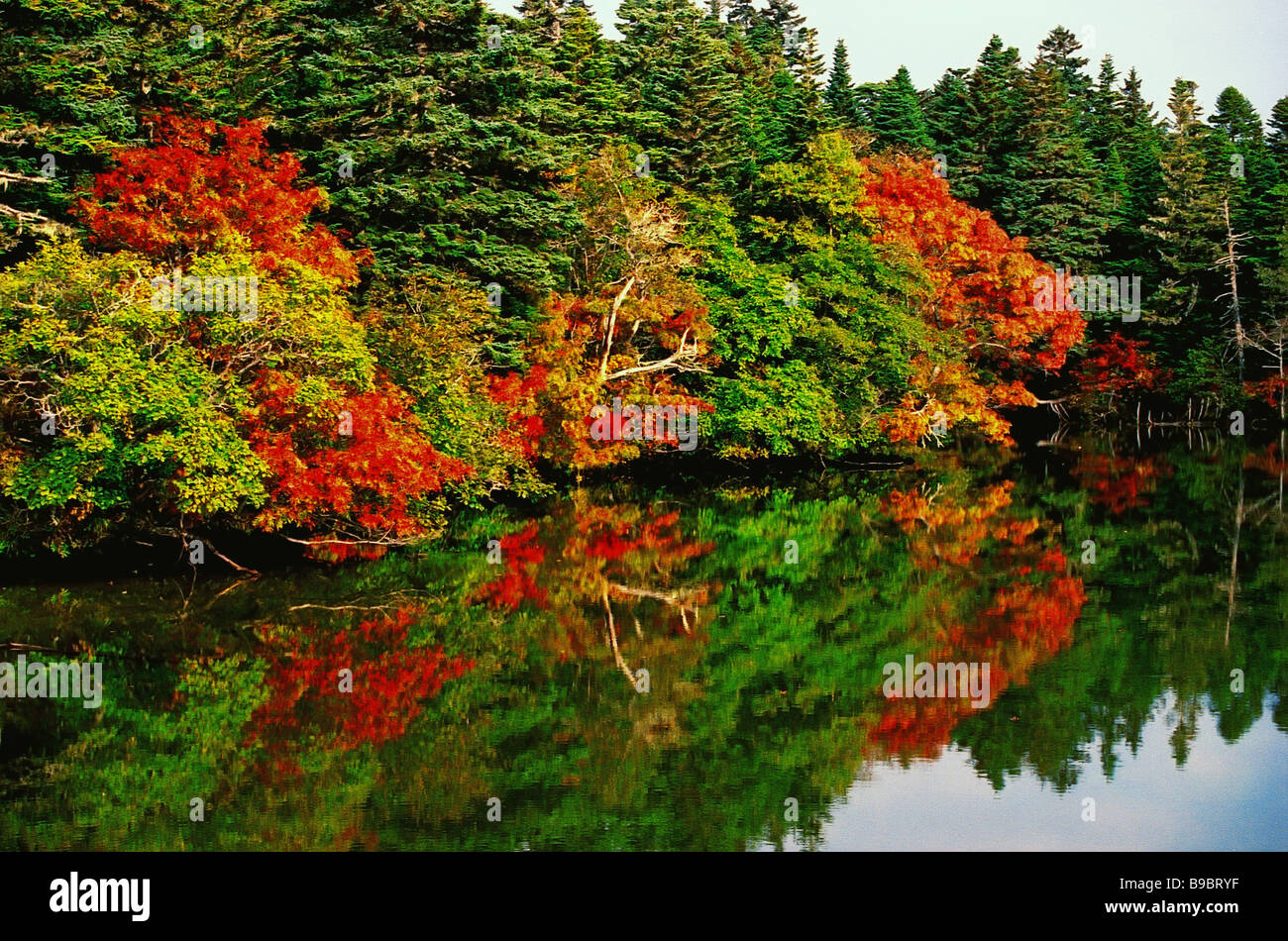 The nature of the Kuril islands Stock Photo - Alamy
