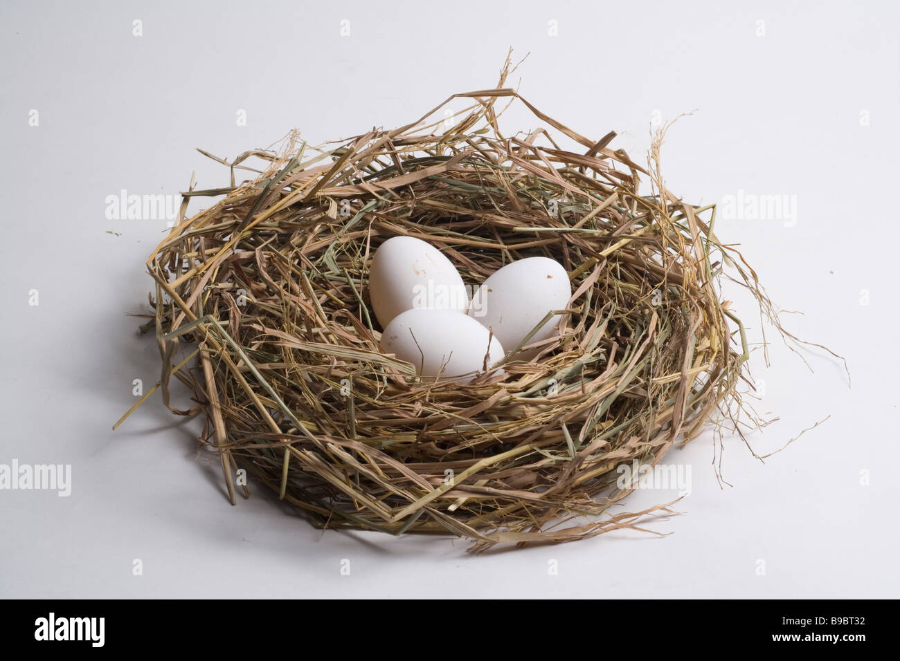 eggs in nest Stock Photo - Alamy