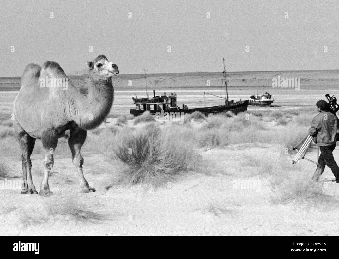 A cameraman in the desert where the Aral Sea used to be Stock Photo - Alamy