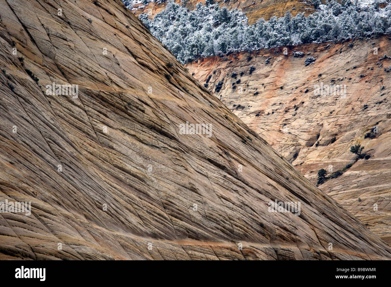 Rock detail in the Checkerboard Mesa area of Zion National Park Utah ...
