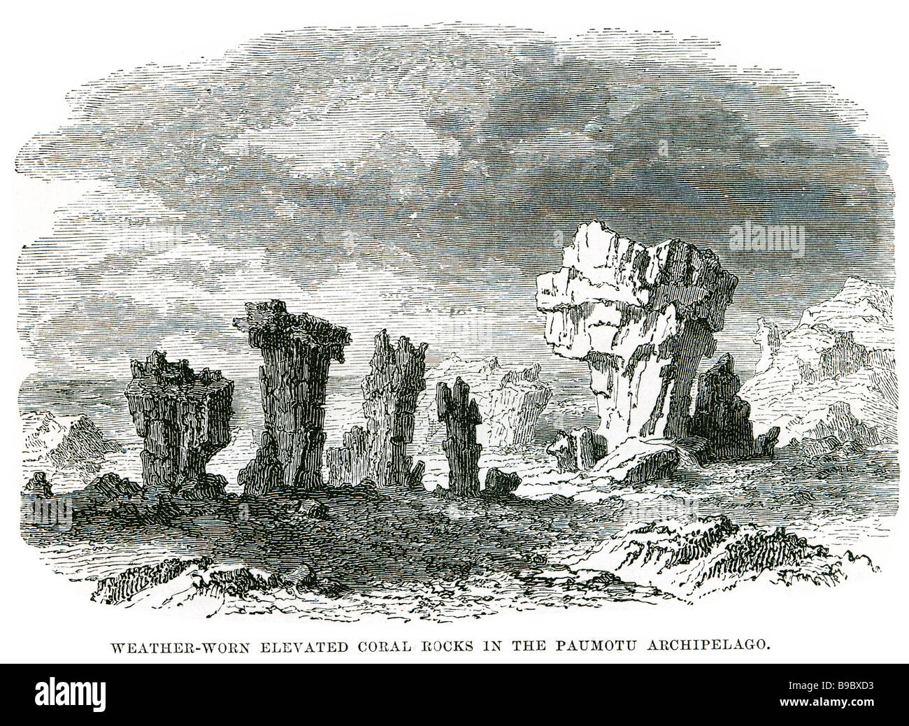 weather worn elevated coral rocks in the paumotu archipelago barren ...